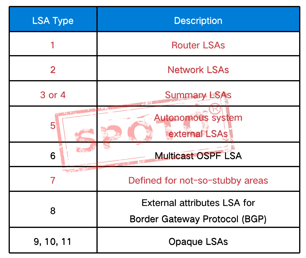 What Is OSPF LSA? - SPOTO Official Blog