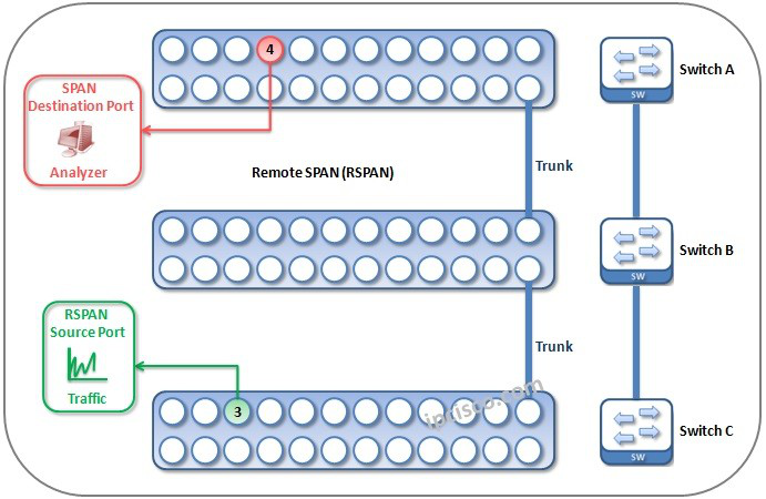 Cisco Basic Points: SPAN Overview - SPOTO Official Blog