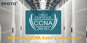 What are CCNA Basic commands? - SPOTO Official Blog
