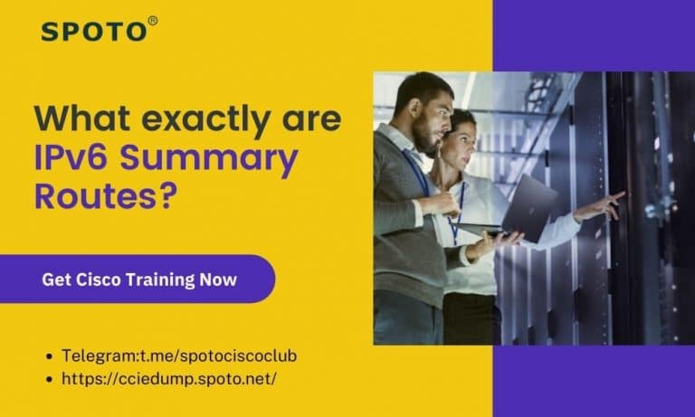 What exactly are IPv6 Summary Routes? - SPOTO Official Blog