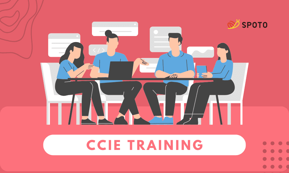 Best CCIE Training Institute